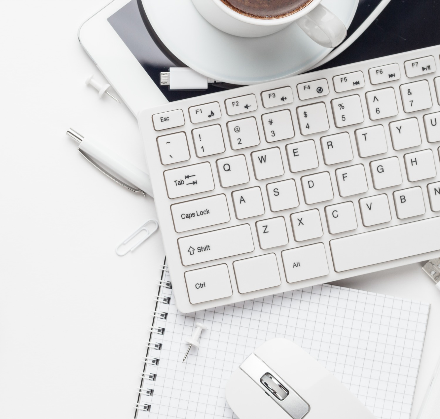 Downloads - Blue Water Dive Resort