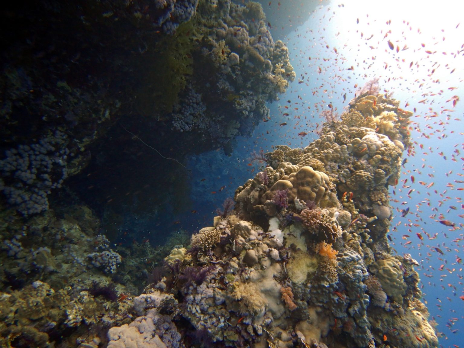 Richtung Süden mit ein bisschen Regen - Blue Water Dive Resort