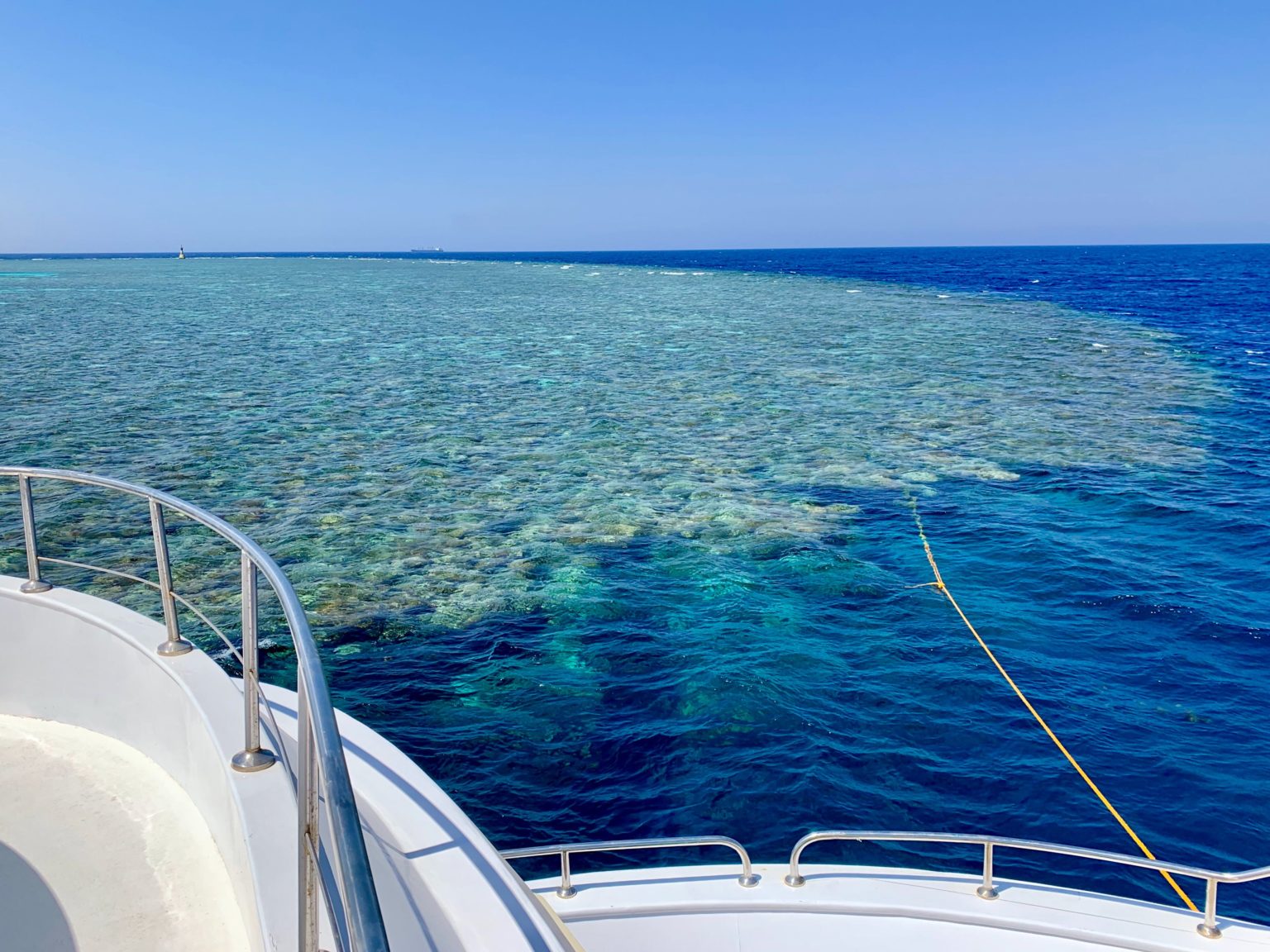 Neuigkeiten der Woche aus Ägypten - Blue Water Dive Resort