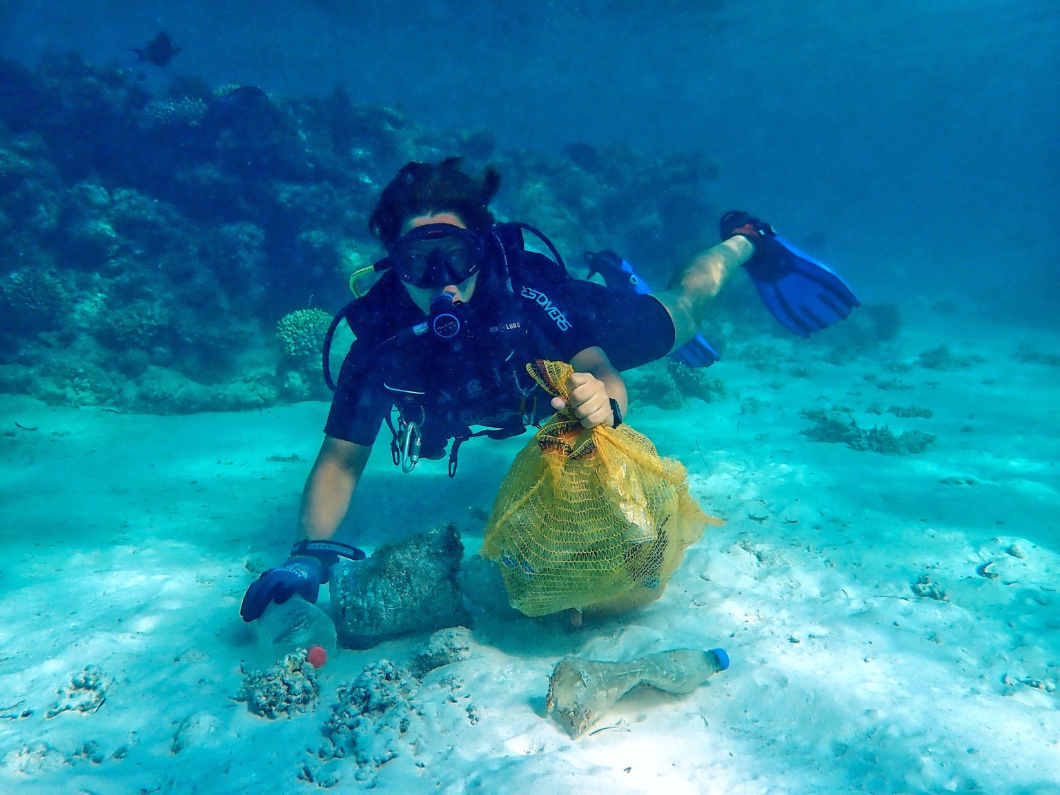 Earth Day: Wir räumen das Rote Meer auf - Blue Water Dive Resort
