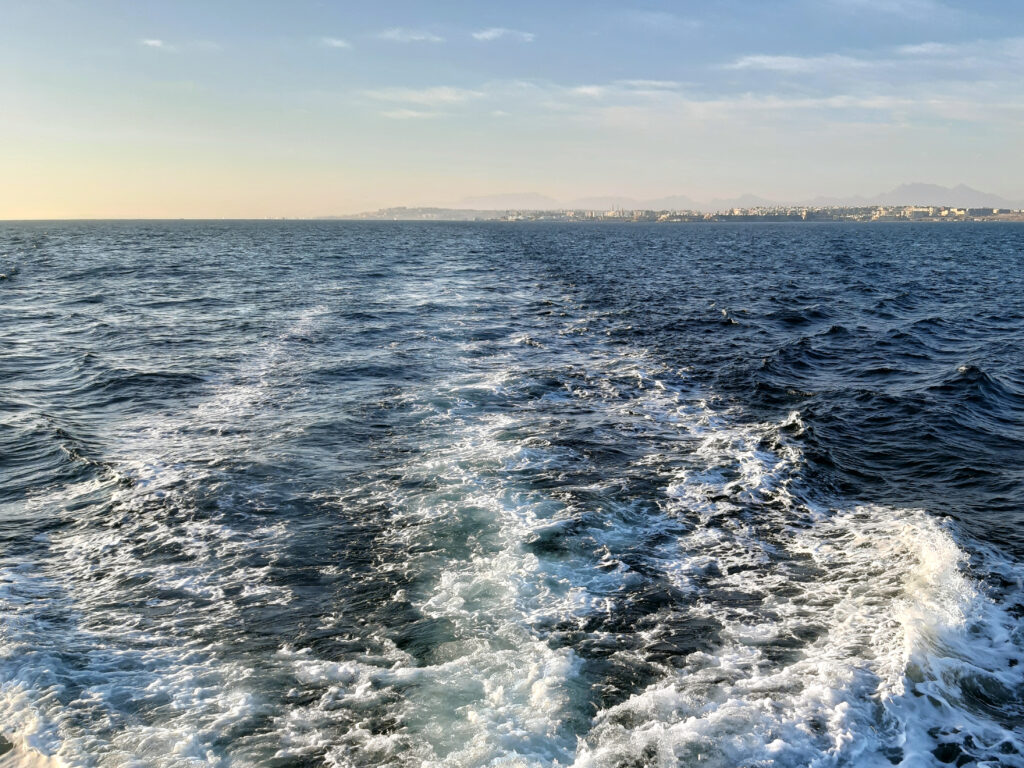 Unser Rückblick auf die Woche aus Hurghada - Blue Water Dive Resort