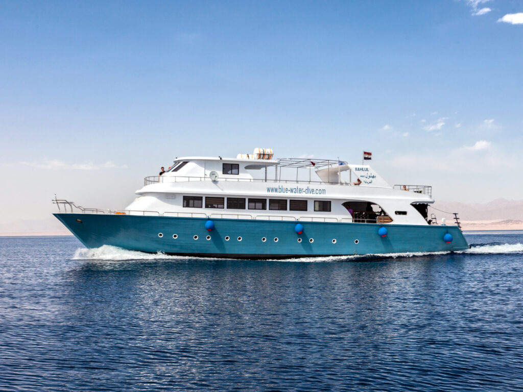 Der erste Rückblick im Oktober - Blue Water Dive Resort