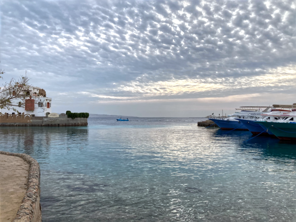 Samstags: Unser Wochenrückblick - Blue Water Dive Resort