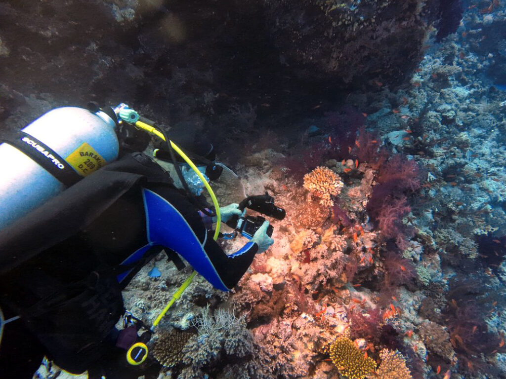 Ein schöner Wochenanfang mit Jubiläum - Blue Water Dive Resort