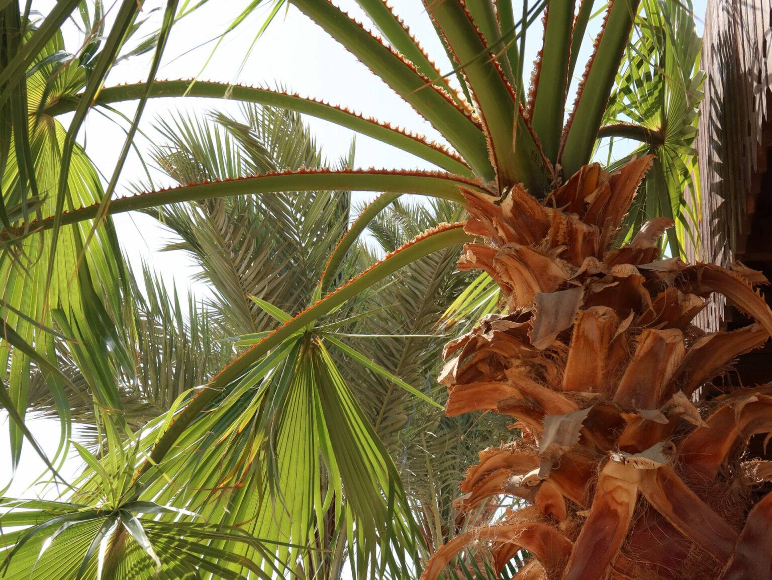 Unser Überblick über die vergangene Woche - Blue Water Dive Resort