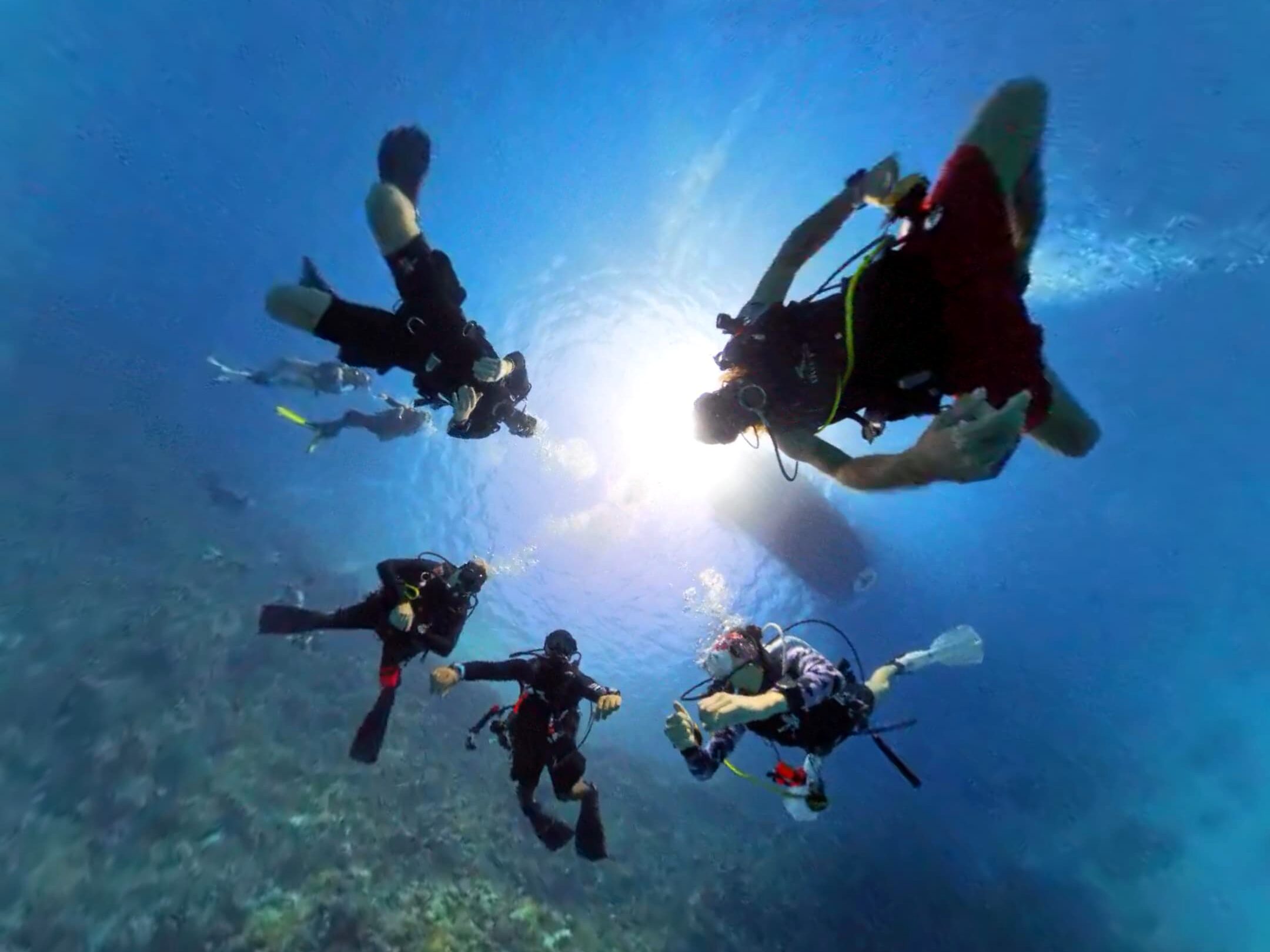 Unser Buschfunk lässt uns nicht im Stich - Blue Water Dive Resort