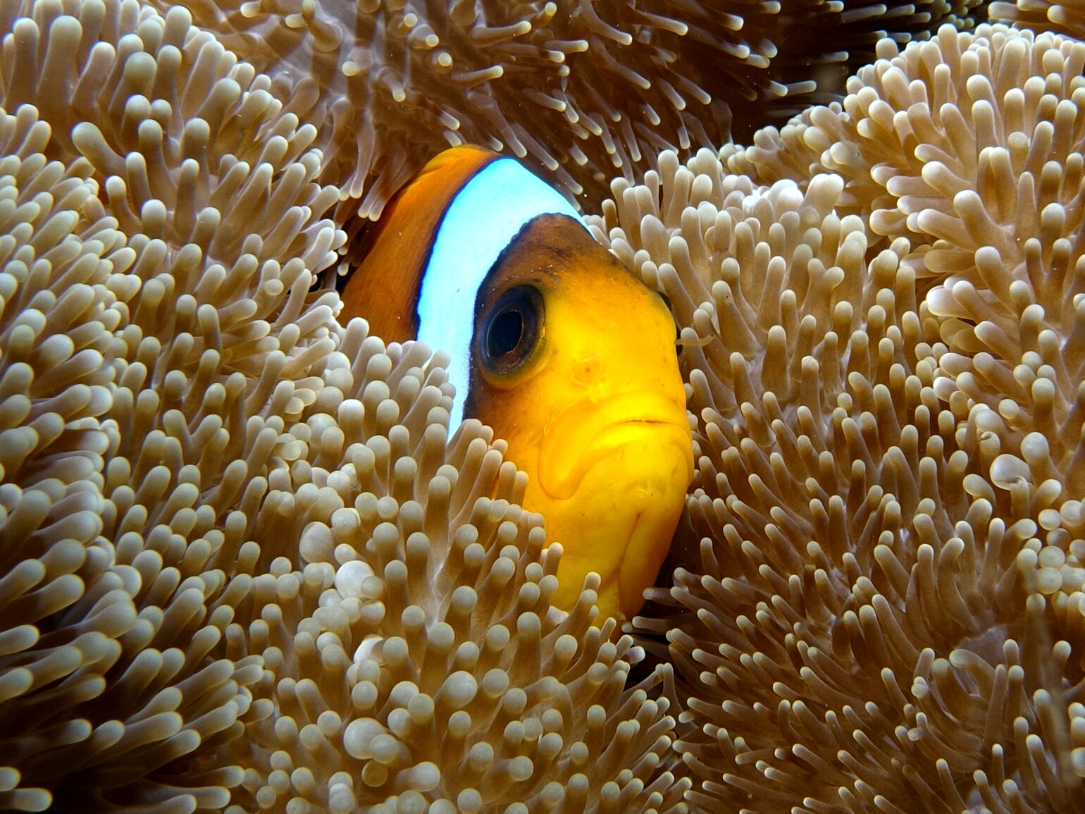 Ein warmer Sonnentag fast wie im Sommer - Blue Water Dive Resort