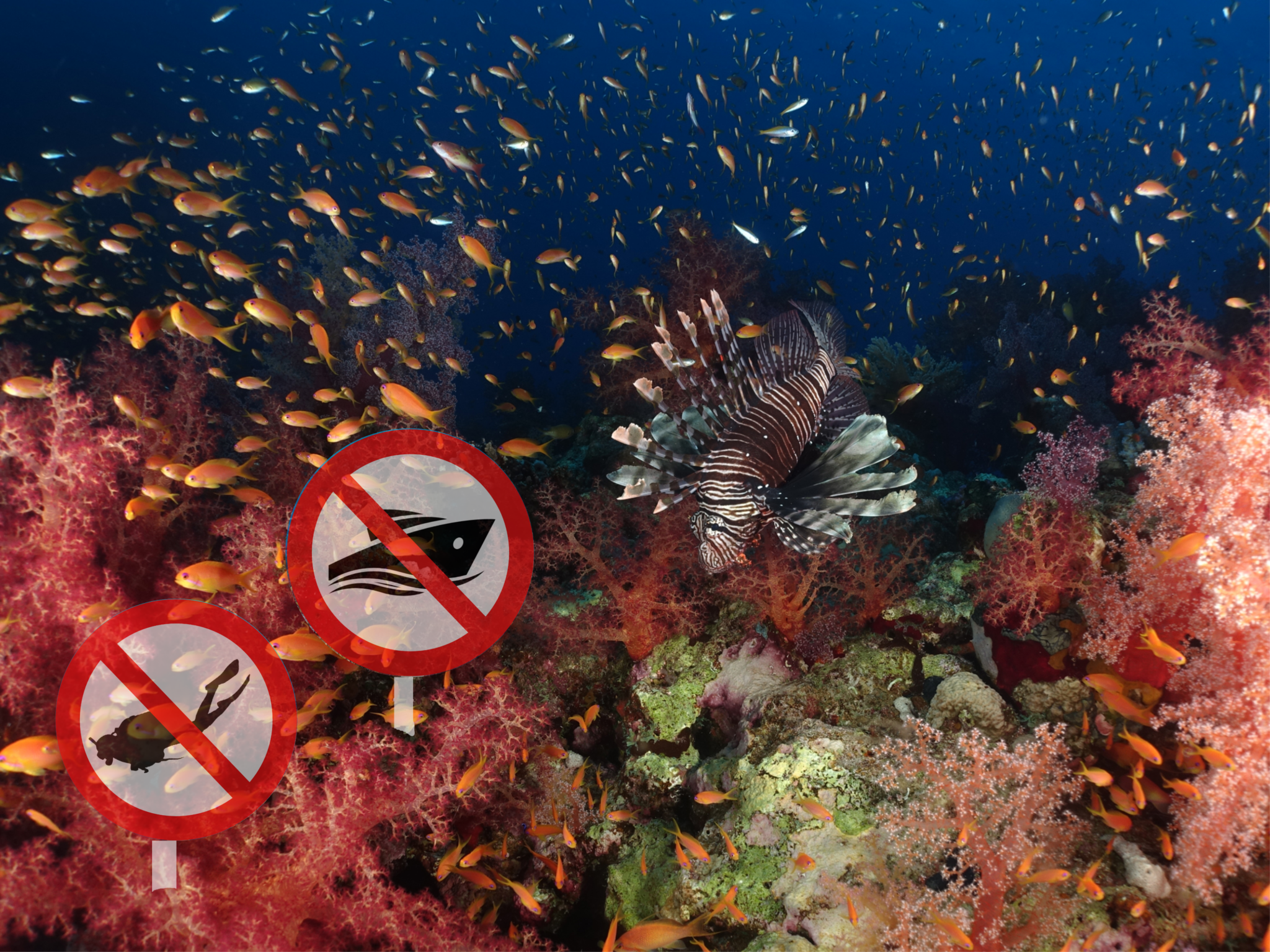 Viel Wind bescherte uns einen Tag am Strand - Blue Water Dive Resort