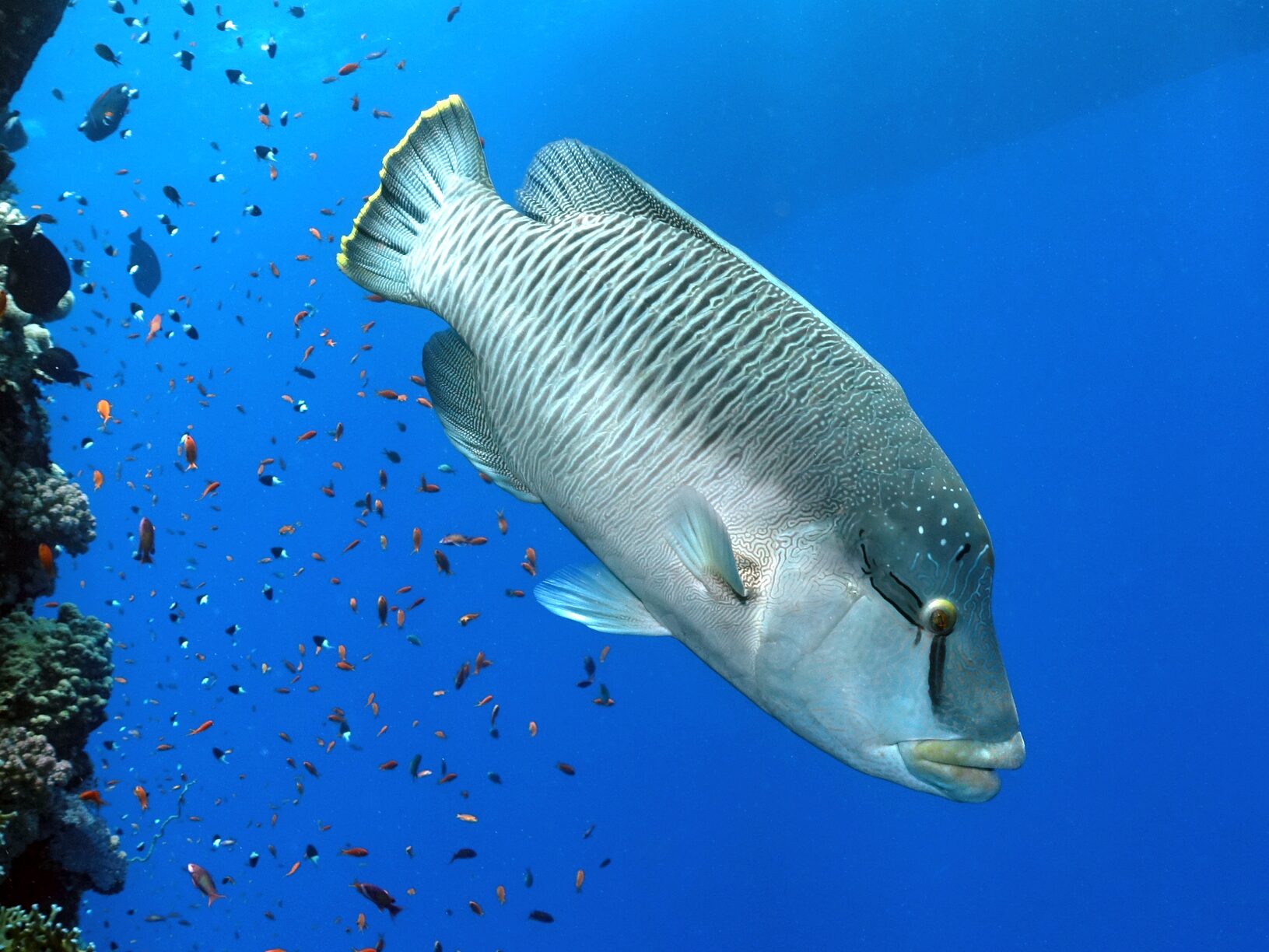 Früh aus den Federn und ab ins blaue Nass - Blue Water Dive Resort