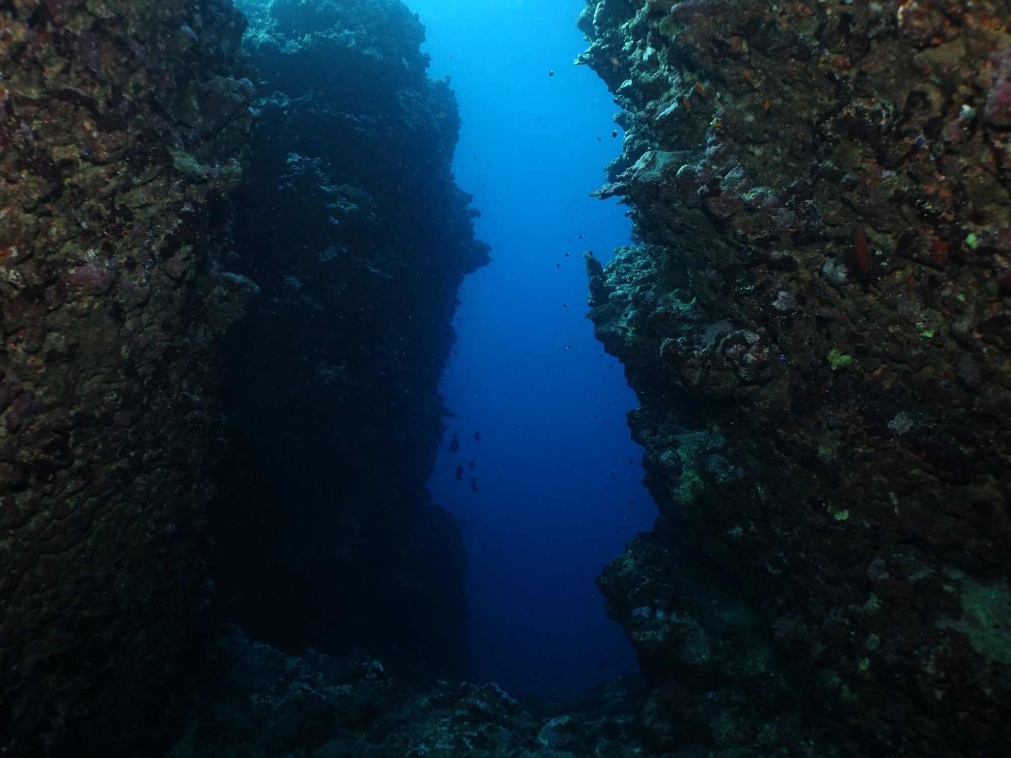 Zwischen den Bergen tauchen wir ab - Blue Water Dive Resort